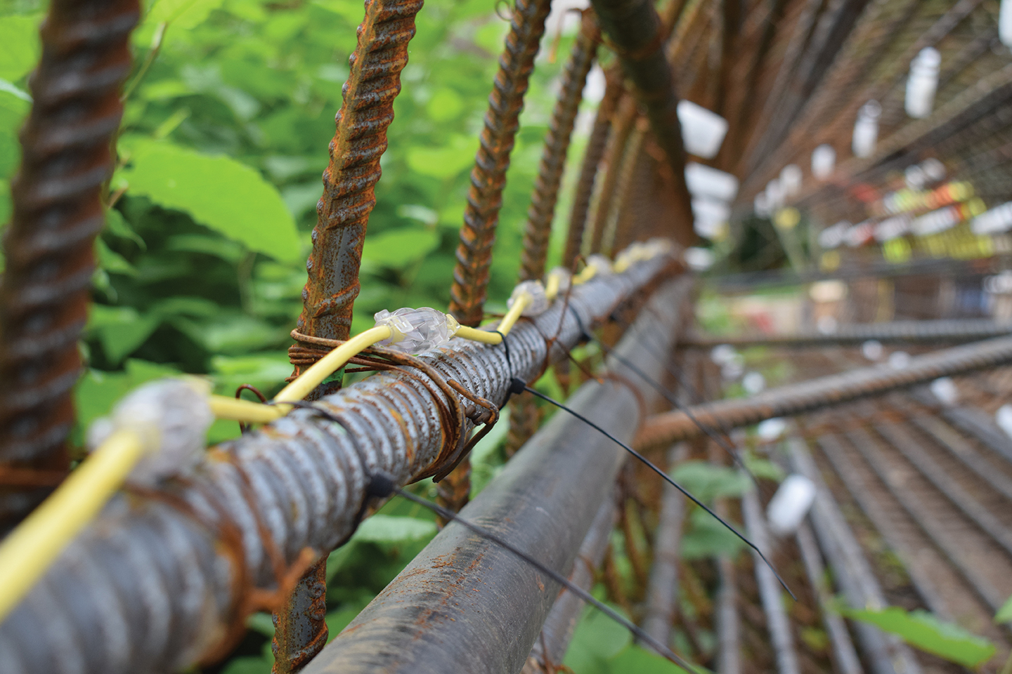 Thermal Integrity Profiling (TIP™) Assessment Services